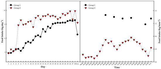 Hourly Feeding Regime of Modern Genetics Lactating Sows: Enhancing ...