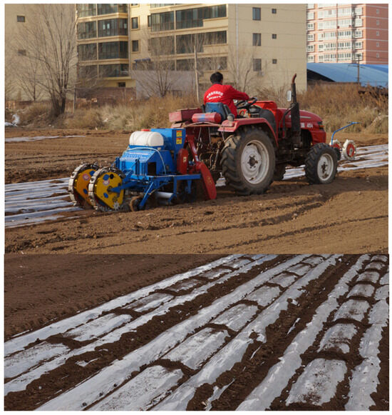 Simulation and Optimization of a Pendulum-Lever-Type Hole-Seeding Device