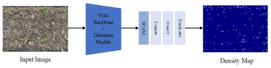 Agriculture | Free Full-Text | Research on Rapeseed Seedling Counting Based on an Improved ...