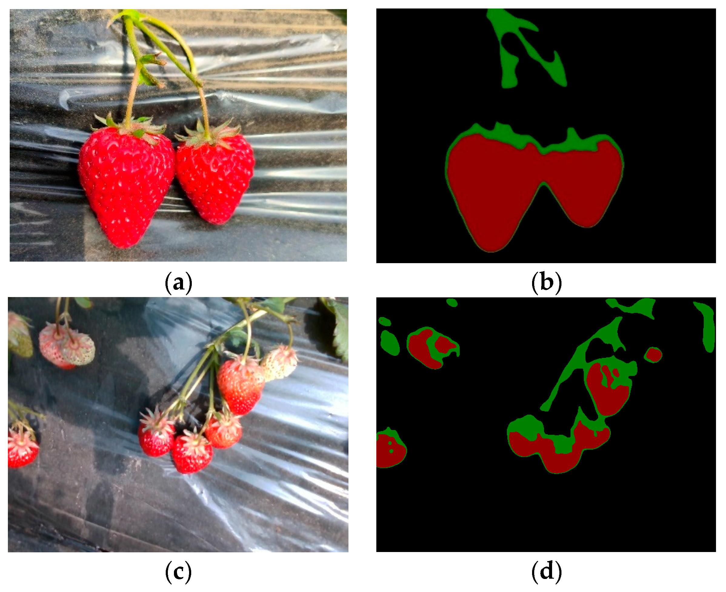 Simultaneous Localization and Mapping System for Agricultural Yield Estimation Based on Improved ...