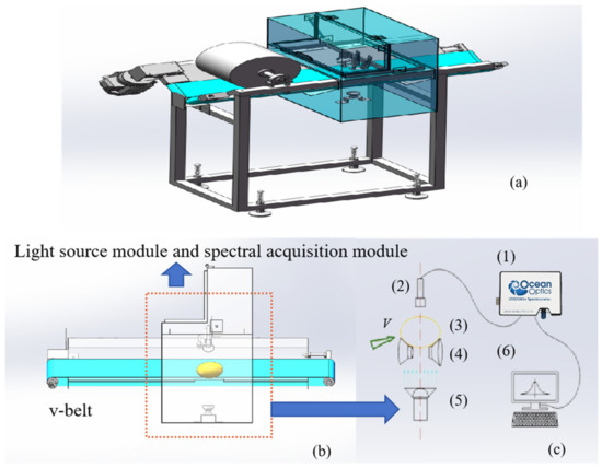 Online Detection of Dry Matter in Potatoes Based on Visible Near ...