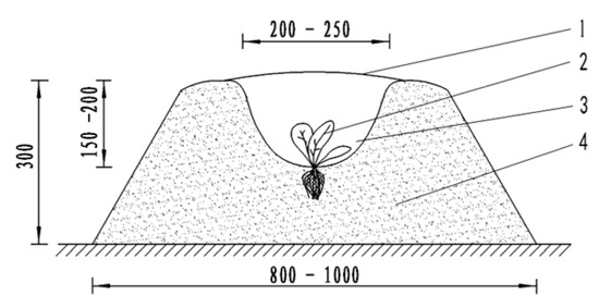Design and Discrete-Element-Method Simulation of Helix Hole-Forming Machine for Deep Planting ...