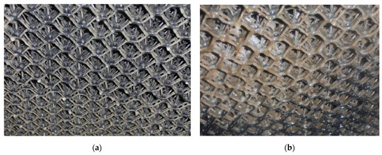 Sustainable Livestock Production: Screening Analysis and Pilot ...