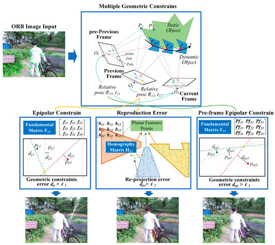 MOLO-SLAM: A Semantic SLAM for Accurate Removal of Dynamic Objects in Agricultural Environments