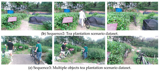 MOLO-SLAM: A Semantic SLAM for Accurate Removal of Dynamic Objects in Agricultural Environments