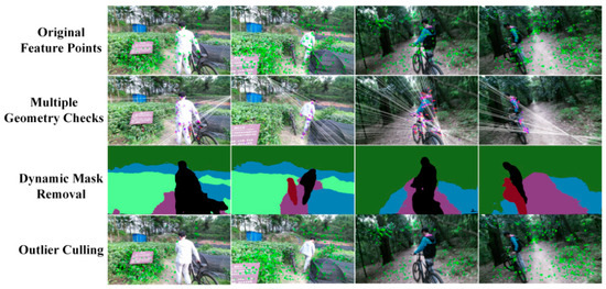 MOLO-SLAM: A Semantic SLAM for Accurate Removal of Dynamic Objects in Agricultural Environments