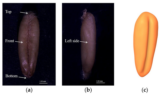 Oat Threshing Damage and Its Effect on Nutritional Components