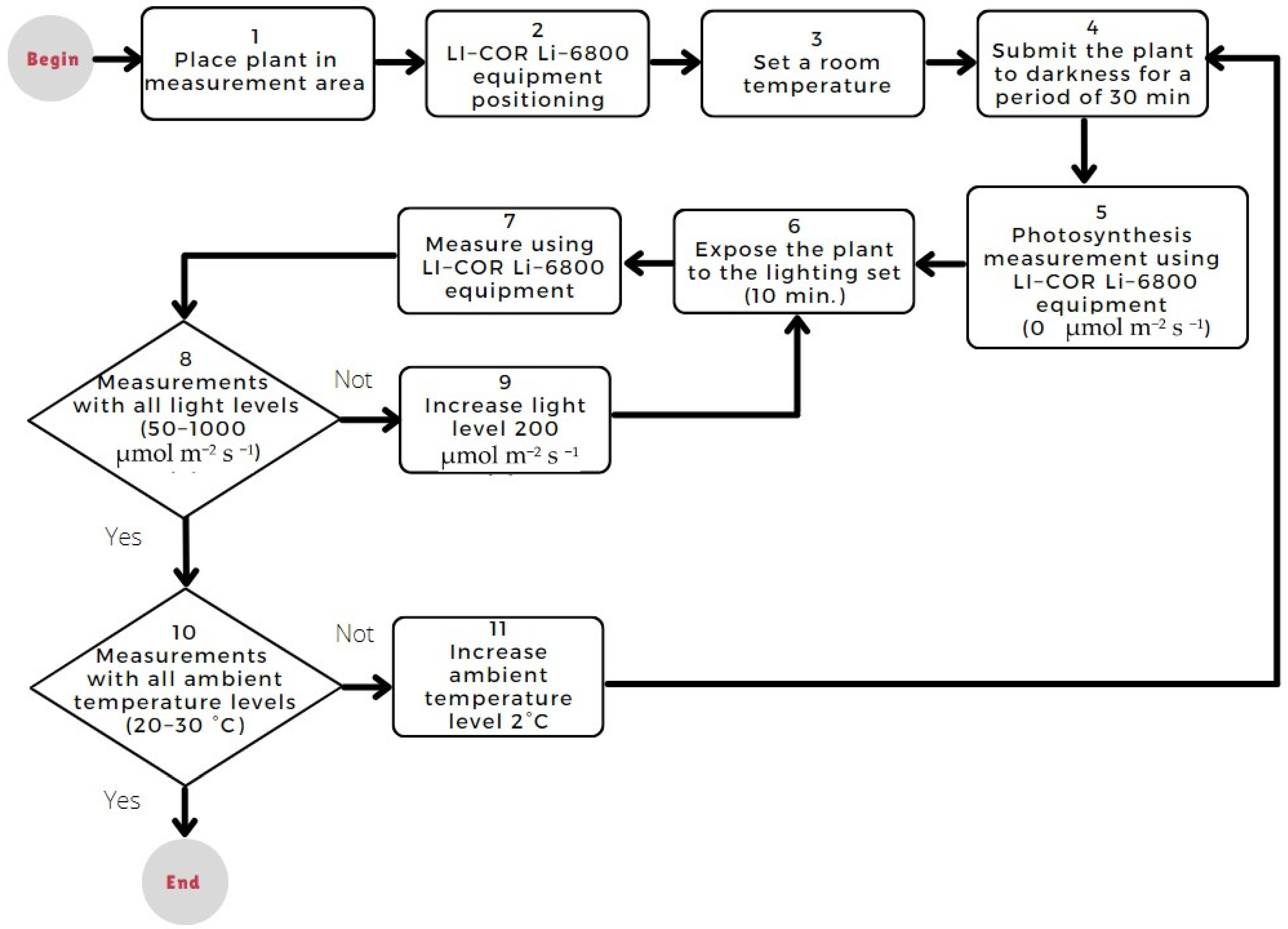 Fuzzy Mathematical Model of Photosynthesis in Jalapeño Pepper