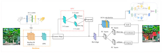 Detection and Instance Segmentation of Grape Clusters in Orchard ...
