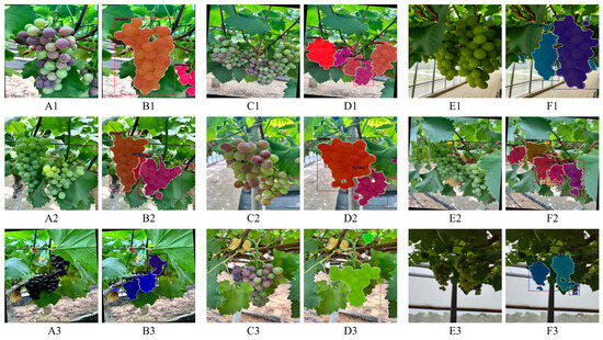 Detection and Instance Segmentation of Grape Clusters in Orchard Environments Using an Improved ...