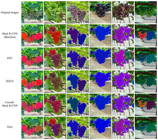 Detection and Instance Segmentation of Grape Clusters in Orchard Environments Using an Improved ...
