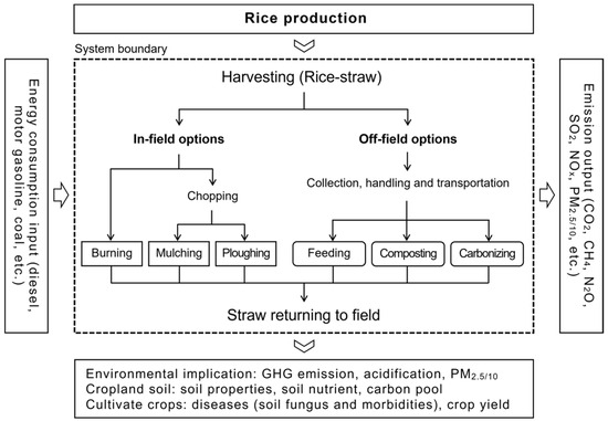 A Comprehensive Assessment of Rice Straw Returning in China Based on ...