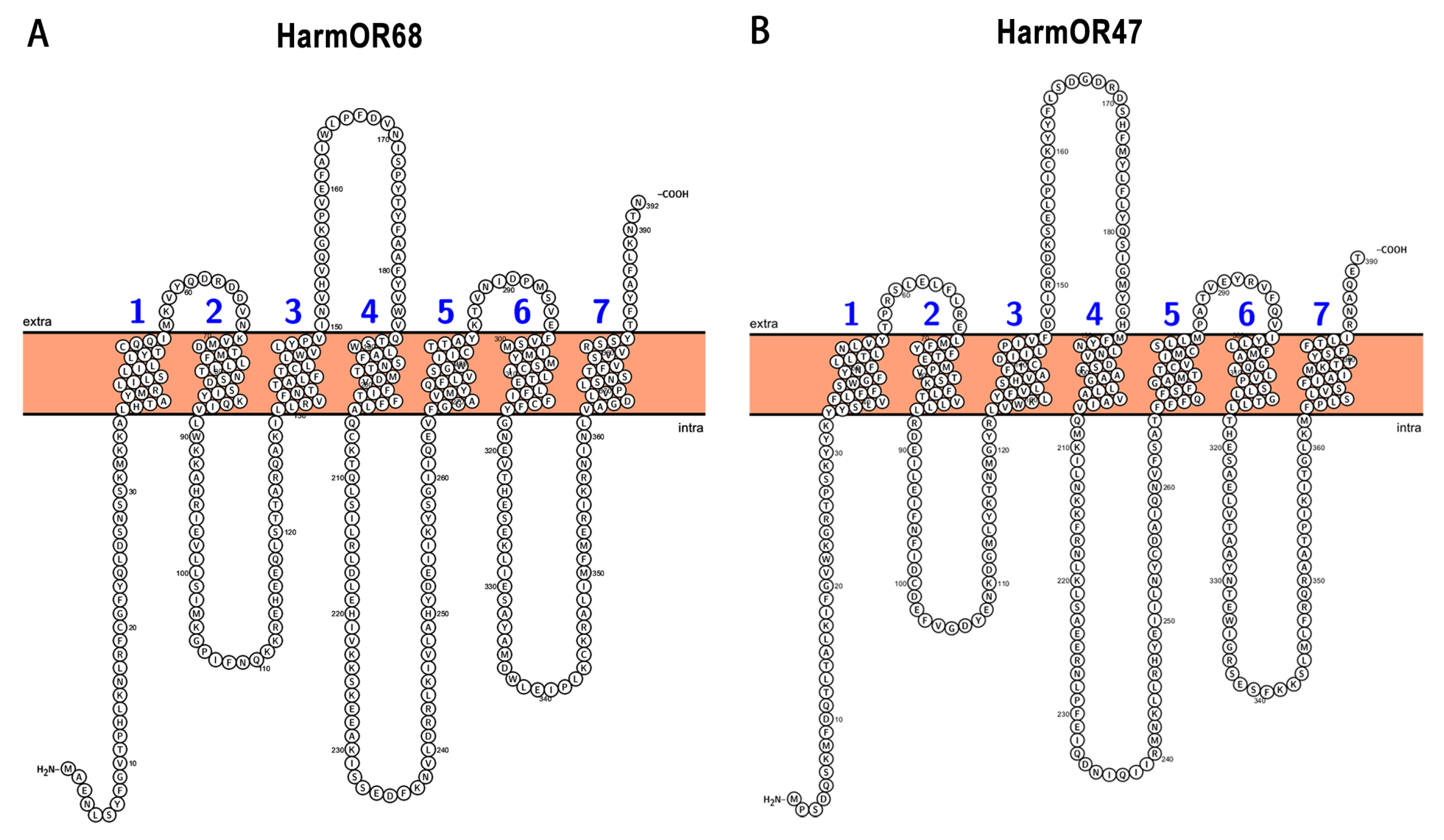 Agriculture | Free Full-Text | Identification and Functional ...