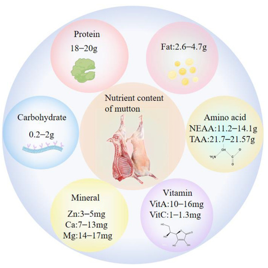 Agriculture | Free Full-Text | Meat of Sheep: Insights into Mutton ...