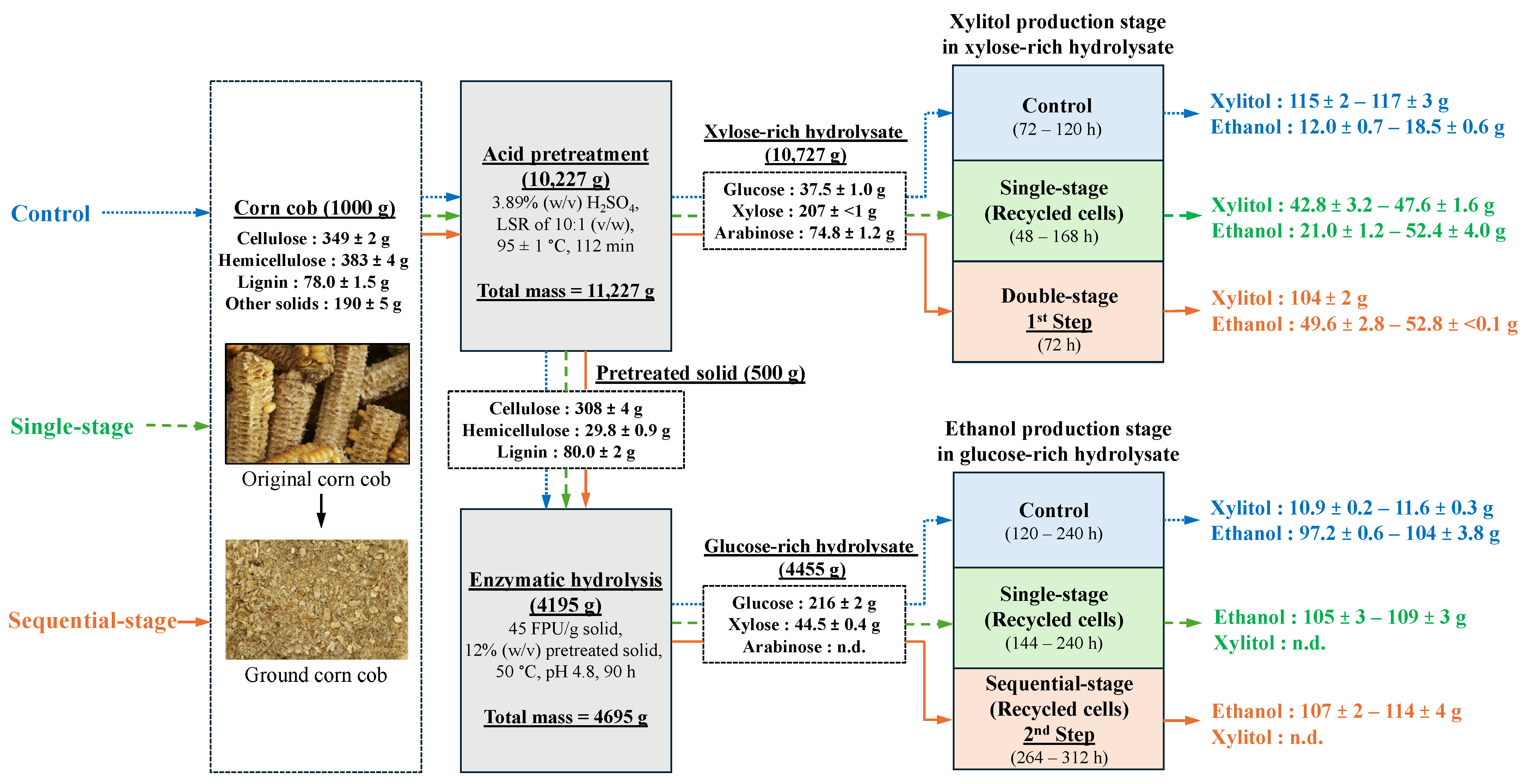 Cell Recycling Application in Single-Stage and Sequential-Stage Co ...