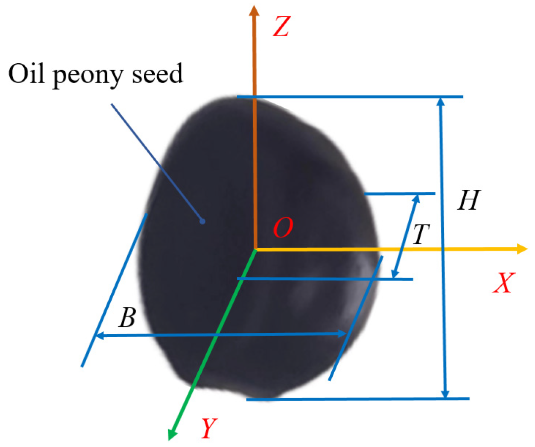 Discrete Element Model of Oil Peony Seeds and the Calibration of Its Parameters