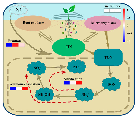 Root Exudates Promoted Microbial Diversity in the Sugar Beet ...