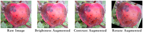 Agriculture | Free Full-Text | Application of Advanced Deep Learning Models for Efficient Apple ...