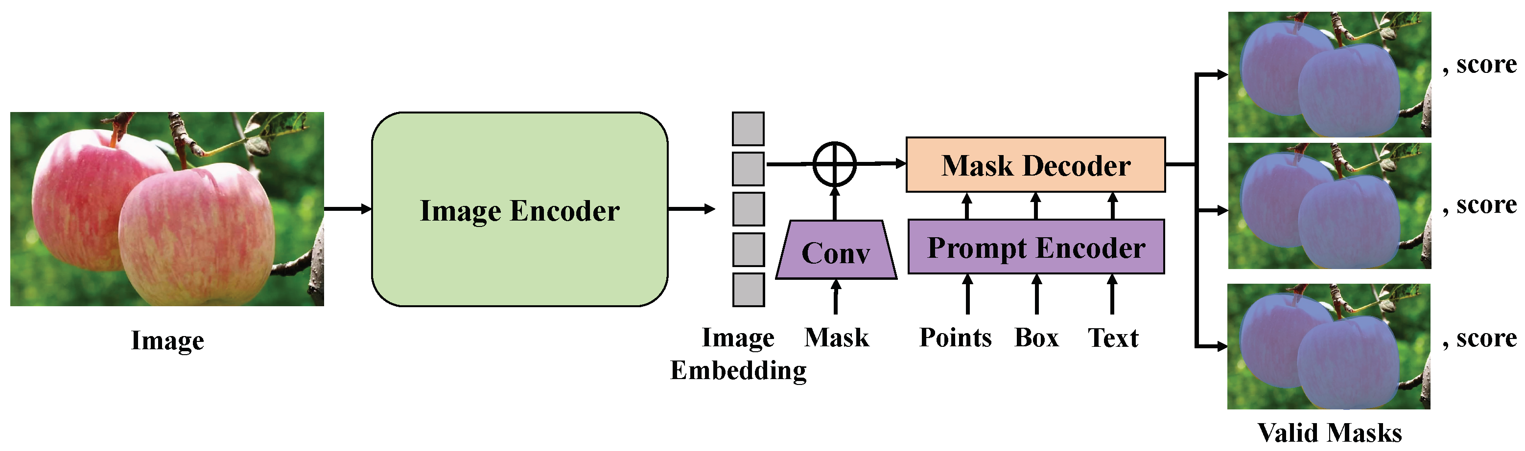 Agriculture | Free Full-Text | Application of Advanced Deep Learning ...