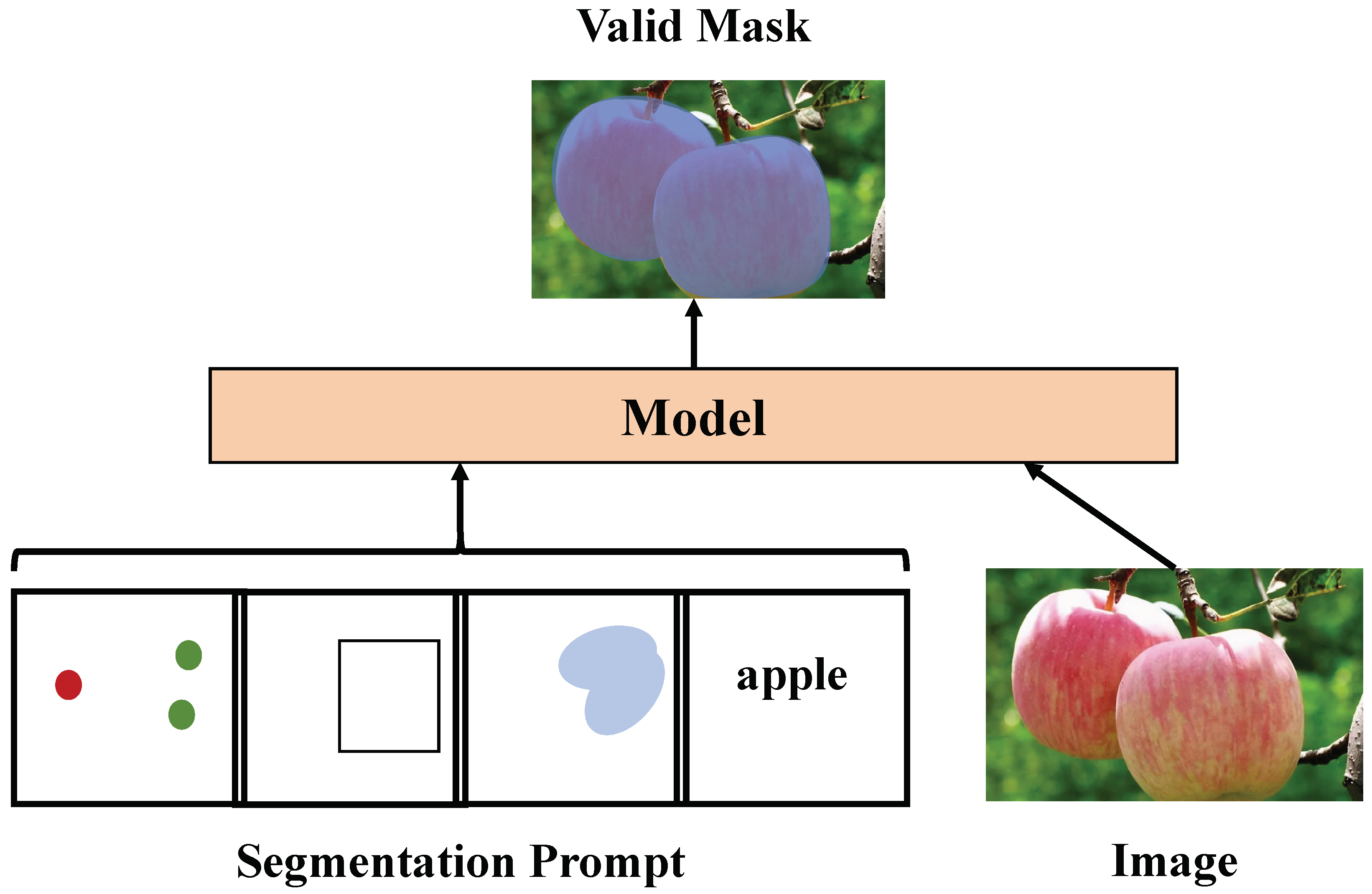 Agriculture | Free Full-Text | Application of Advanced Deep Learning Models for Efficient Apple ...