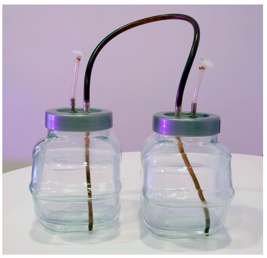 A Temporary Immersion System as a Tool for Lowering Planting Material ...