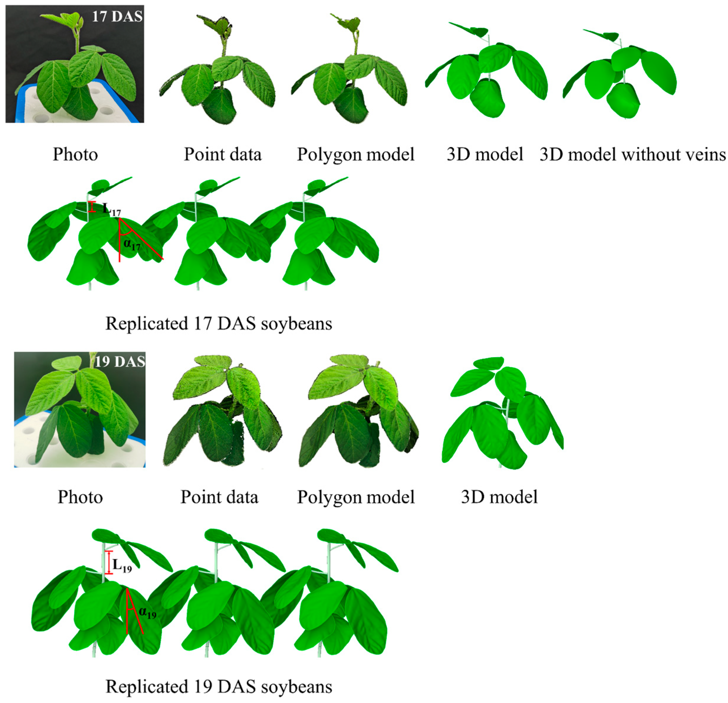 Computational Fluid Dynamics Model with Realistic Plant Structures to Study Airflow in and ...