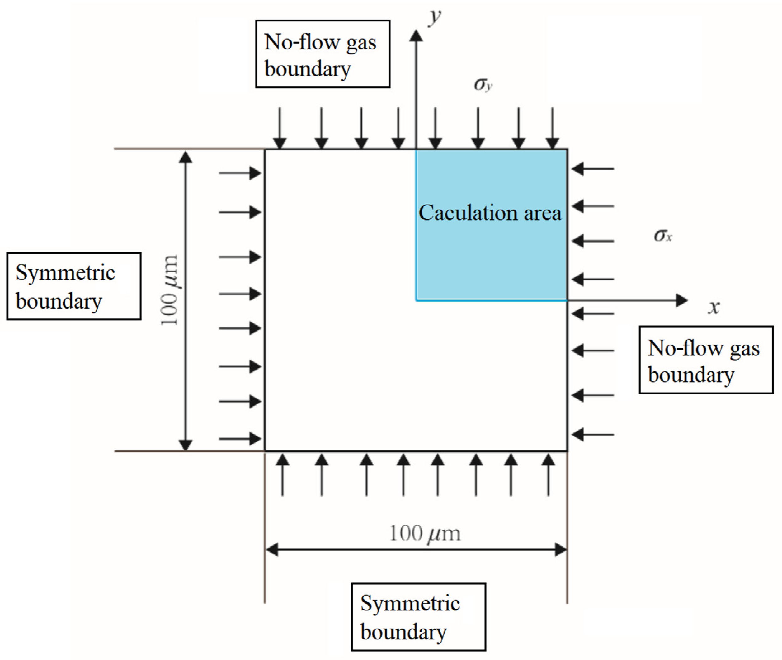 Establishment and Solution of a Finite Element Gas Exchange Model in ...