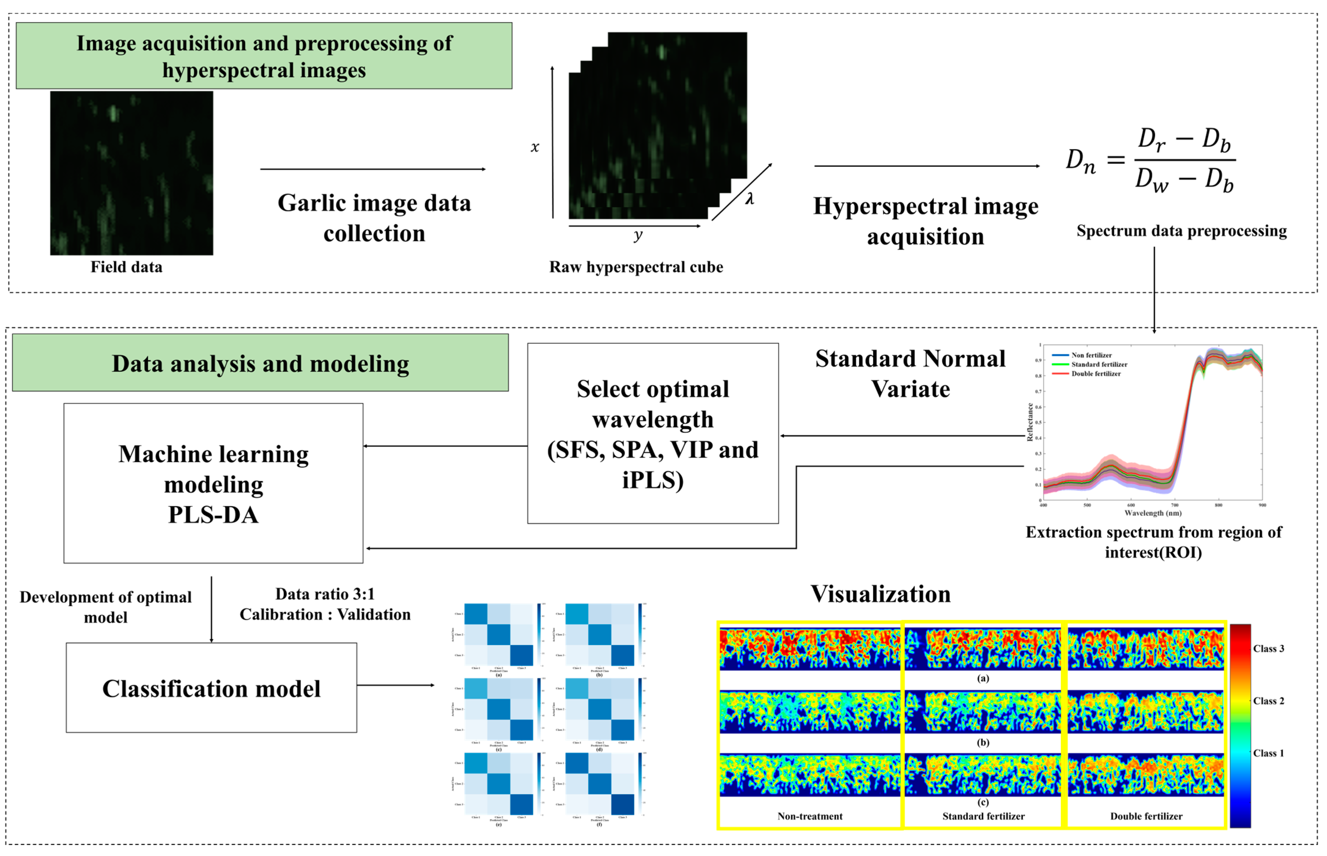 Classification of Garlic (Allium sativum L.) Crops by Fertilizer ...