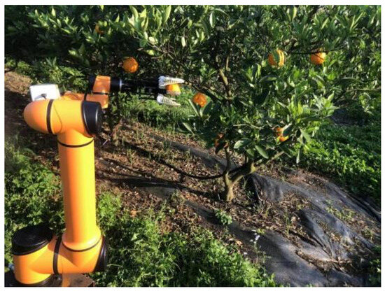 Flexible Hand Claw Picking Method for Citrus-Picking Robot Based on ...