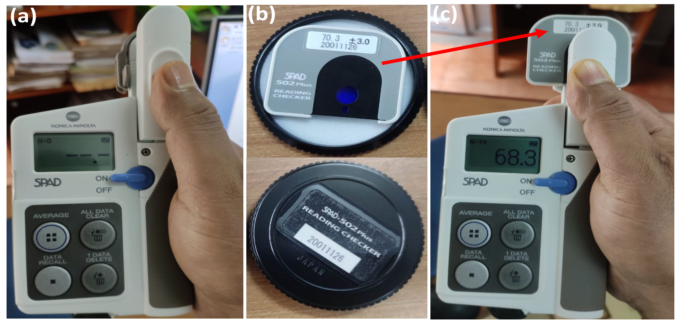 Smartphone Contact Imaging and 1-D CNN for Leaf Chlorophyll Estimation ...