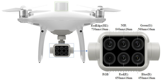 Monitoring Maize Canopy Chlorophyll Content throughout the Growth ...