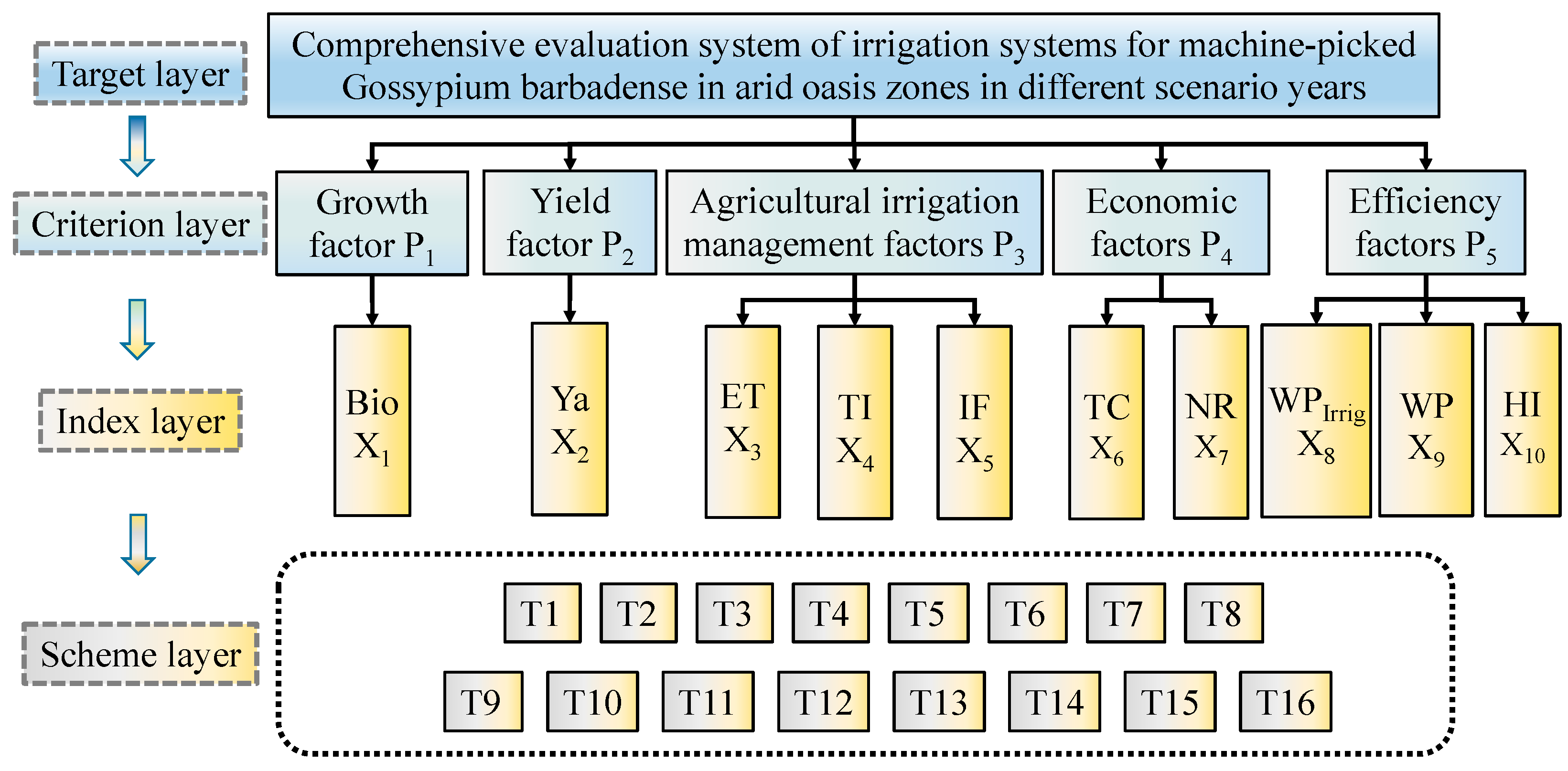 Modeling Comprehensive Deficit Irrigation Strategies for Drip-Irrigated ...