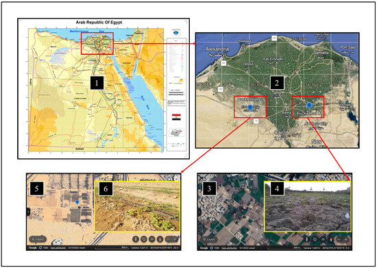 Abiotic and Biotic Factors Affecting Crop Growth and Productivity ...