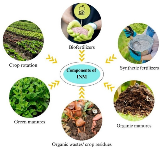 Integrated Nutrient Management of Fruits, Vegetables, and Crops through the Use of Biostimulants ...