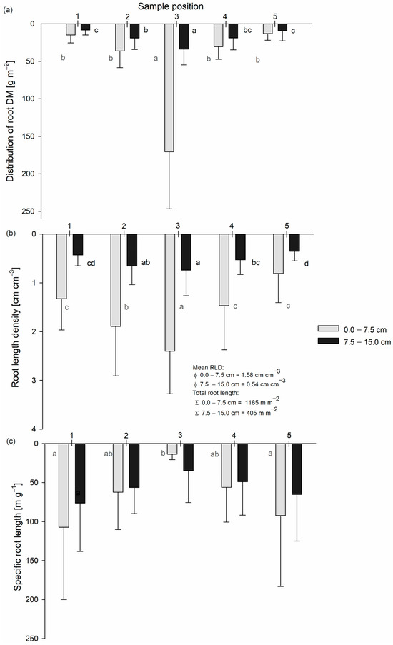 Agriculture | Free Full-Text | Rooting Patterns and Aucubin Content in ...