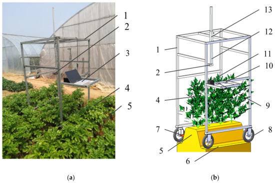 A Highly Accurate Detection Platform for Potato Seedling Canopy in ...