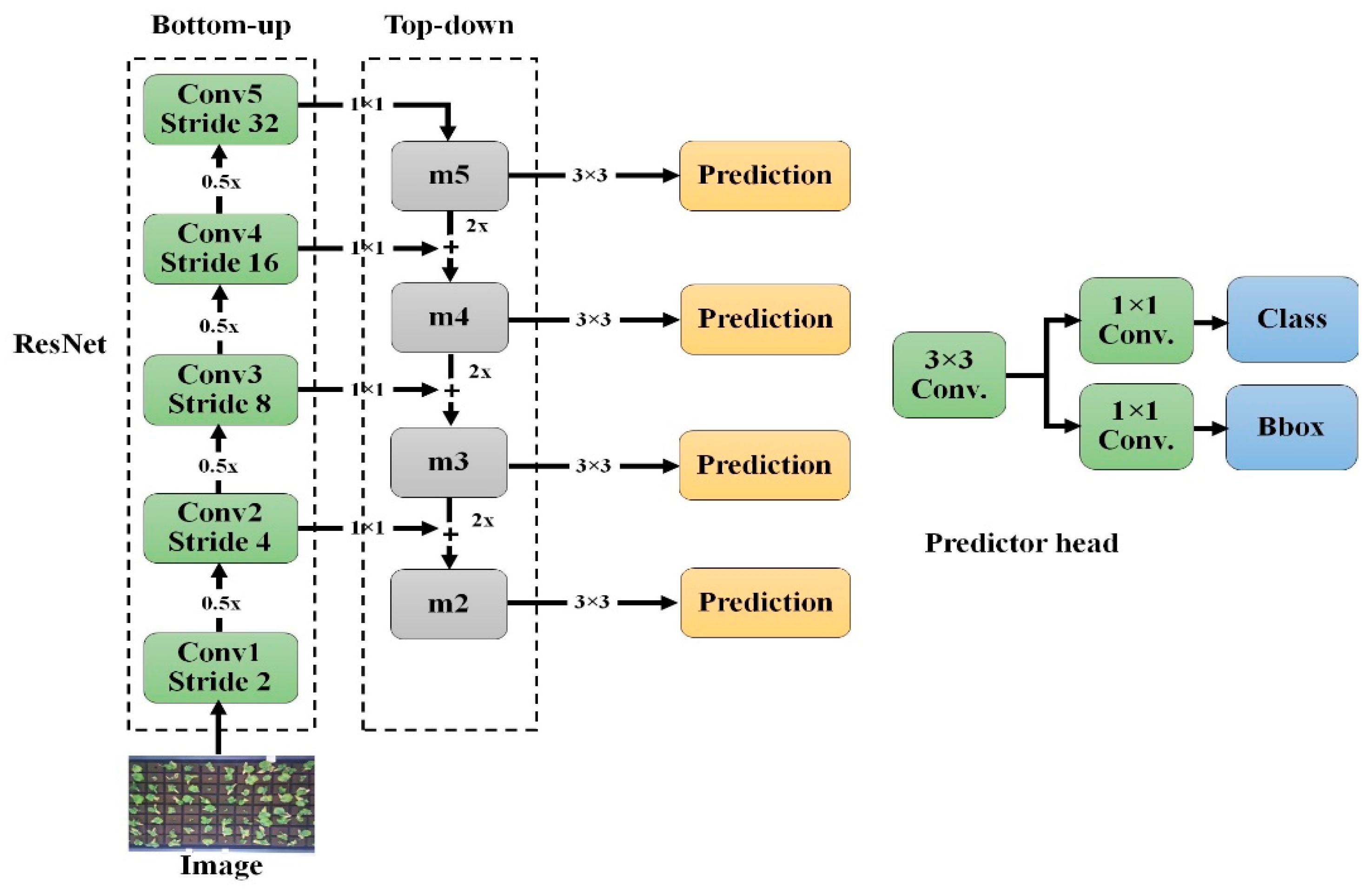 Nutrient Stress Symptom Detection in Cucumber Seedlings Using Segmented Regression and a Mask ...