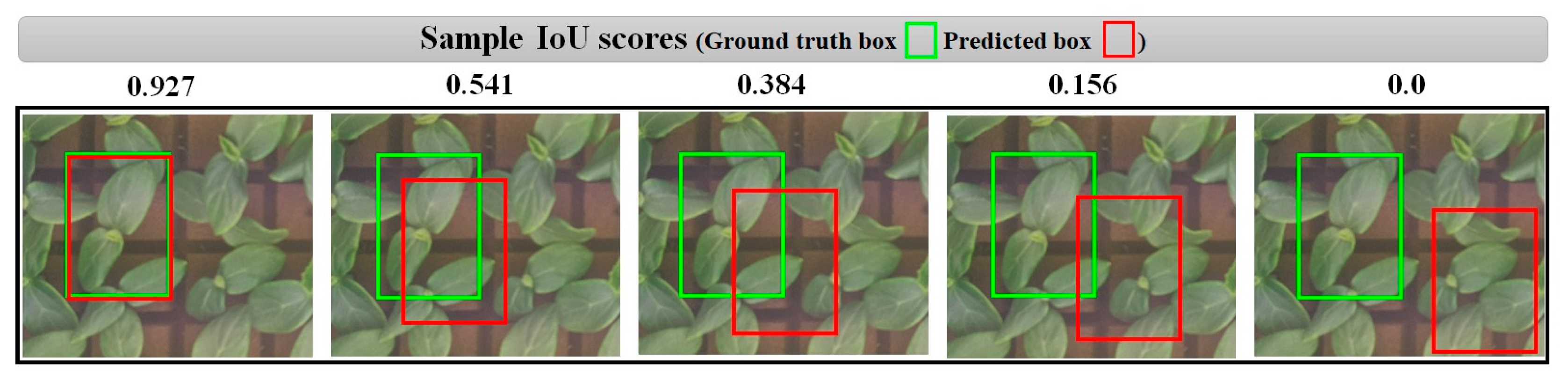 Nutrient Stress Symptom Detection in Cucumber Seedlings Using Segmented Regression and a Mask ...