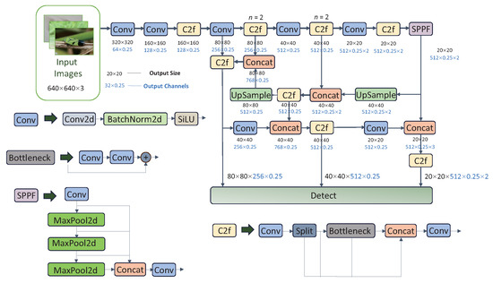 LP-YOLO: A Lightweight Object Detection Network Regarding Insect Pests ...