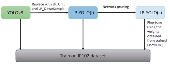 LP-YOLO: A Lightweight Object Detection Network Regarding Insect Pests ...
