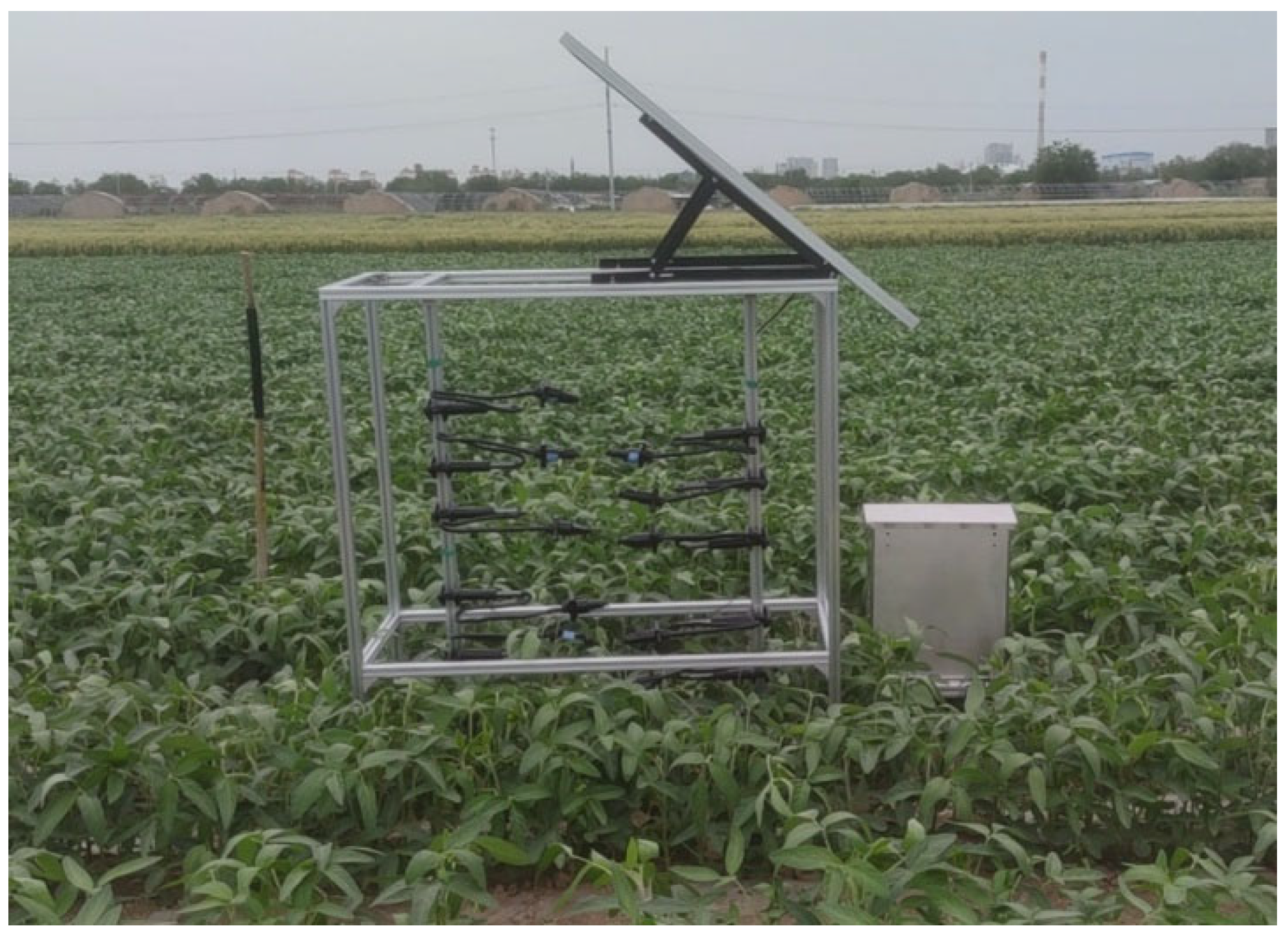 Field-Based Soybean Flower and Pod Detection Using an Improved YOLOv8-VEW Method