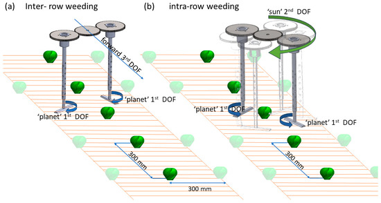 Mechanical Inter- and Intra-Row Weed Control for Small-Scale Vegetable ...