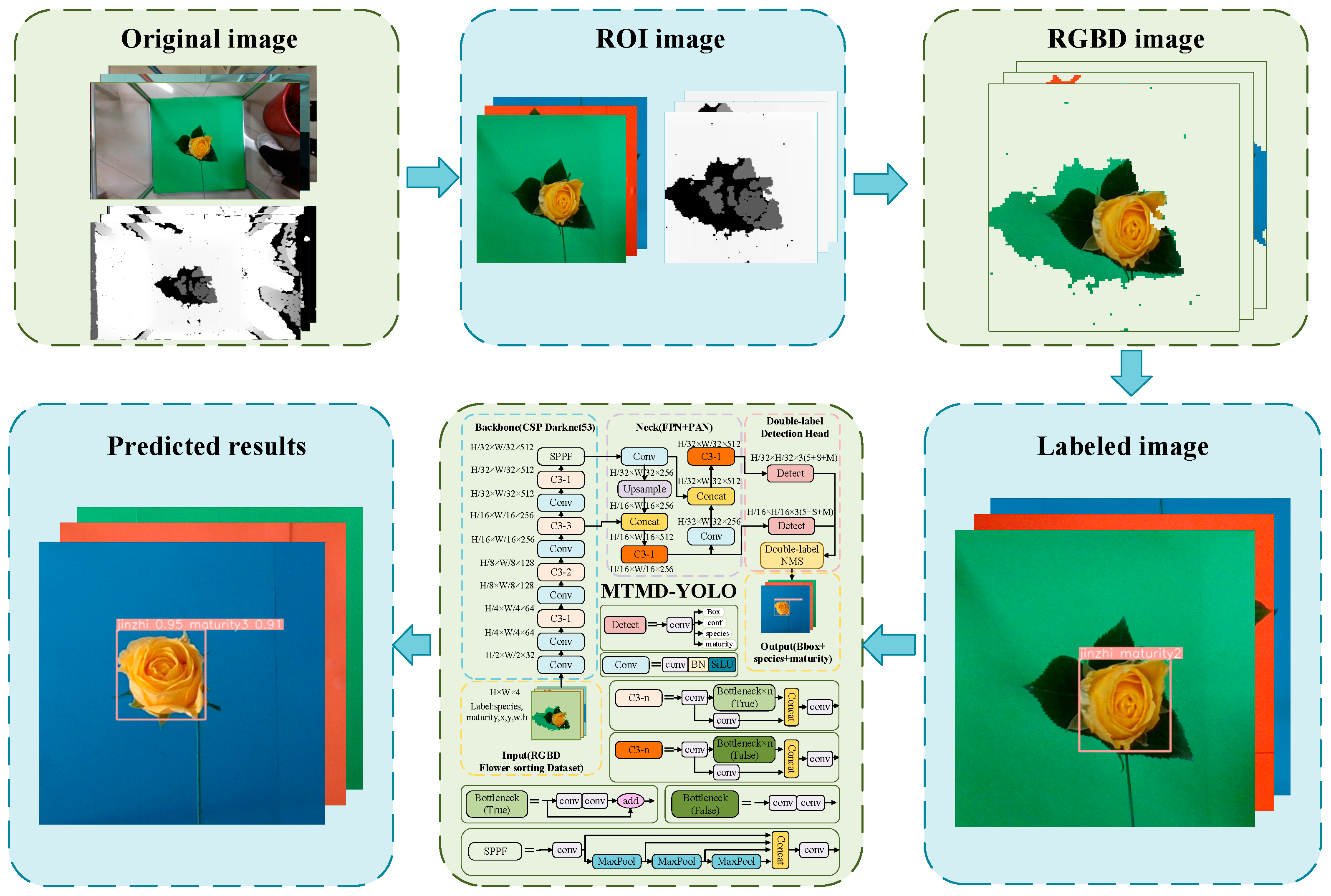 Research on a Real-Time, High-Precision End-to-End Sorting System for Fresh-Cut Flowers