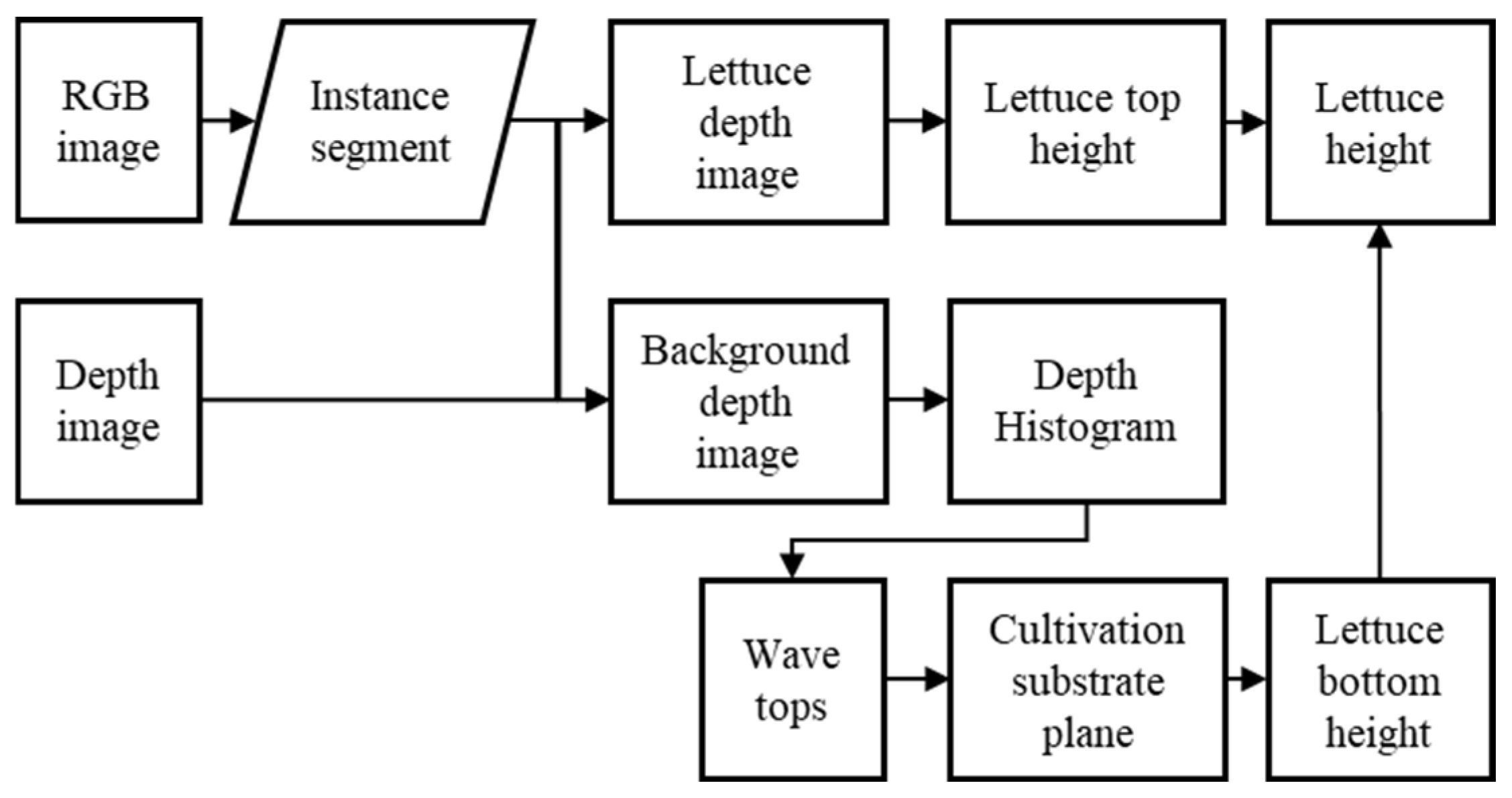 Low-Cost Lettuce Height Measurement Based on Depth Vision and Lightweight Instance Segmentation ...