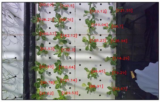 Low-Cost Lettuce Height Measurement Based on Depth Vision and ...