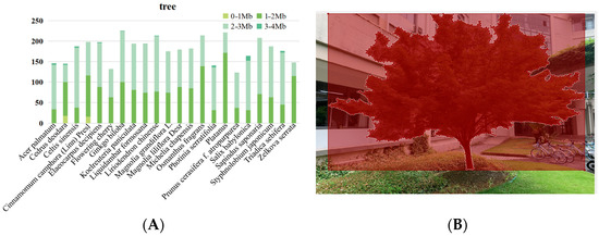 YOLO-SegNet: A Method for Individual Street Tree Segmentation Based on the Improved YOLOv8 and ...