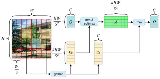 YOLO-SegNet: A Method for Individual Street Tree Segmentation Based on ...