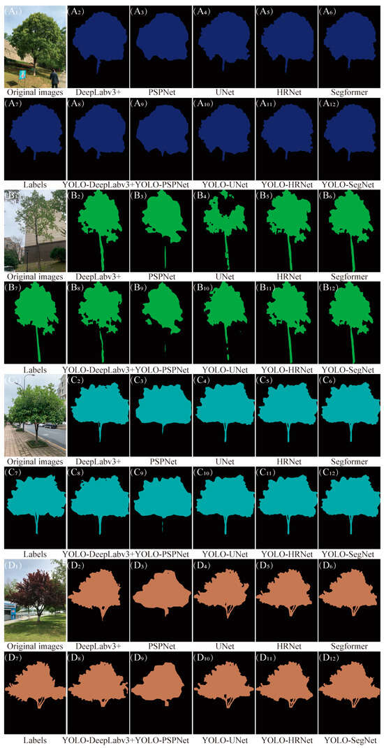 YOLO-SegNet: A Method for Individual Street Tree Segmentation Based on the Improved YOLOv8 and ...
