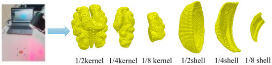 Design And Optimization Of Key Parameters For A Machine Vision Based Walnut Shellkernel