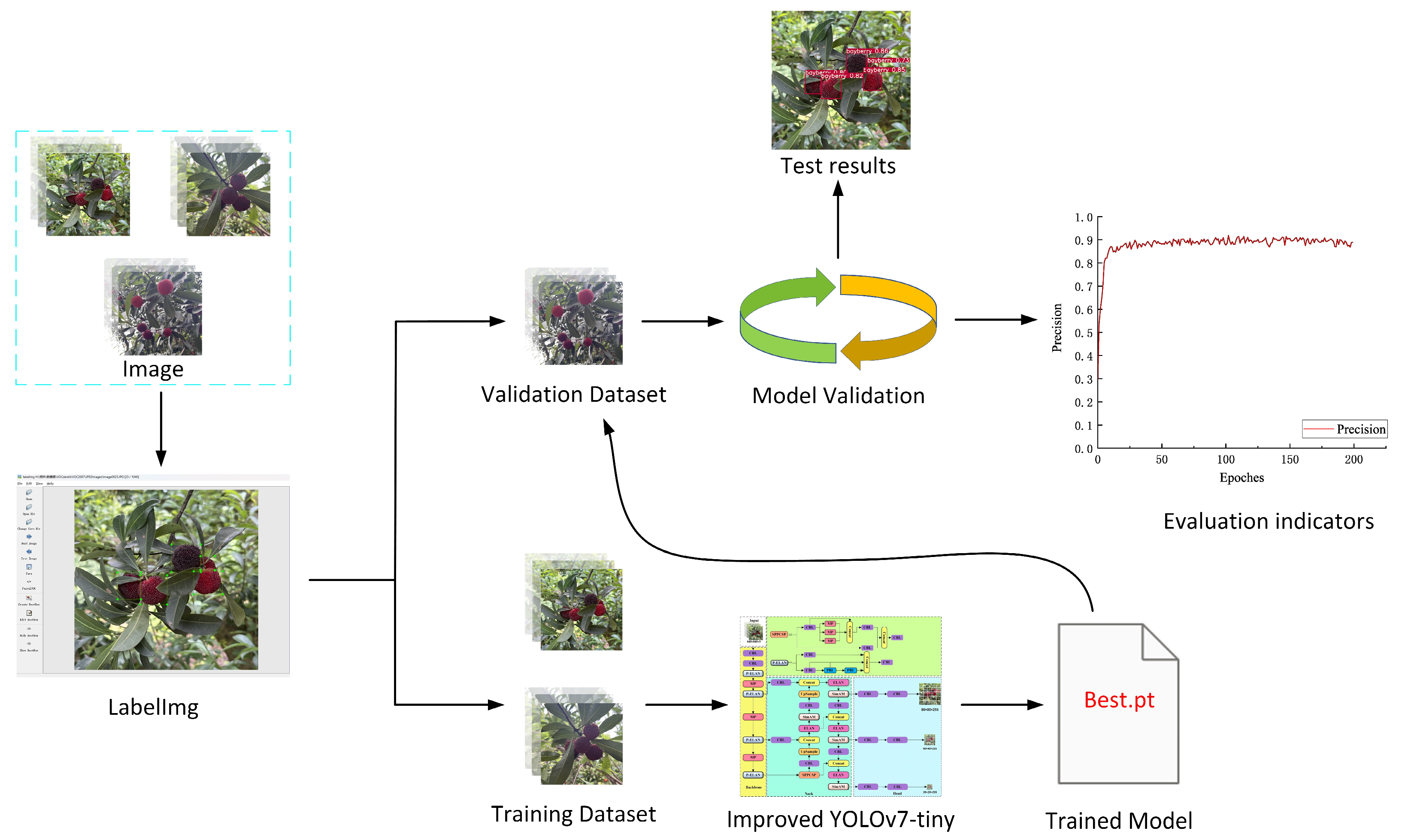 Chinese Bayberry Detection in an Orchard Environment Based on an ...